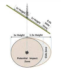 Know Where Your Tree Will Fall-Accessing Your Tree Hazards